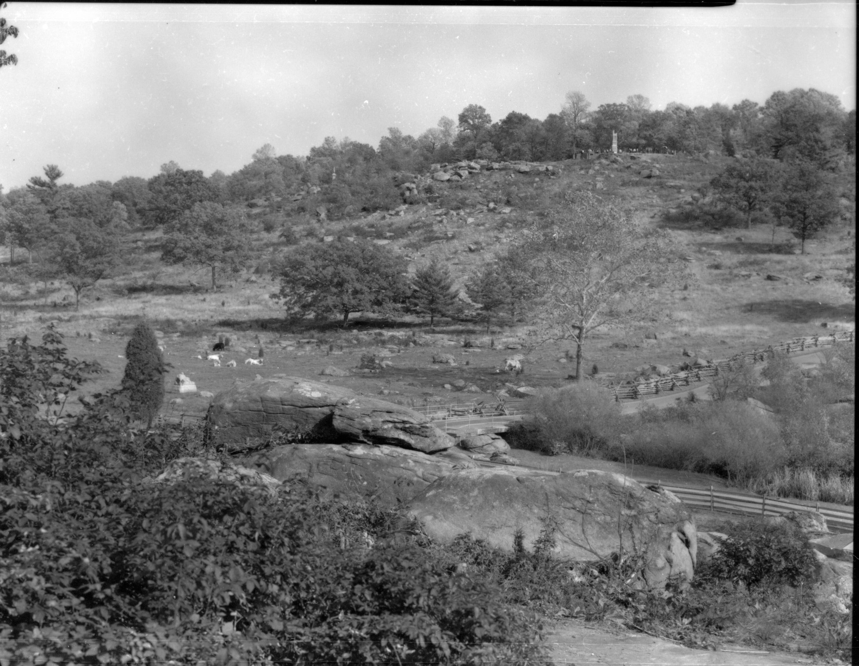 Gettysburg National Military Park's Beaver Problem: A Conversation with ...