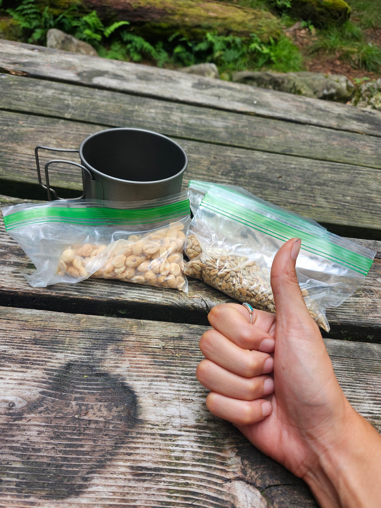 Long Trail Log #4: Keep It Together, Body. - The Trek