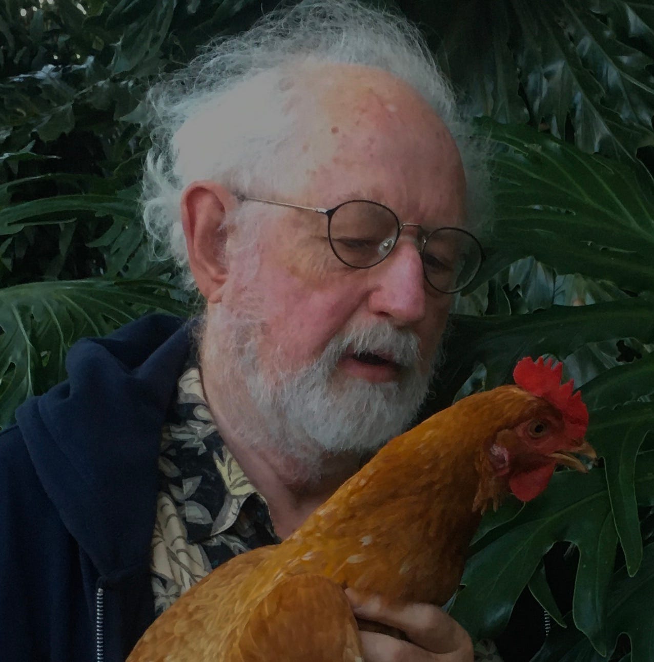 Mees Baaijen | Substack