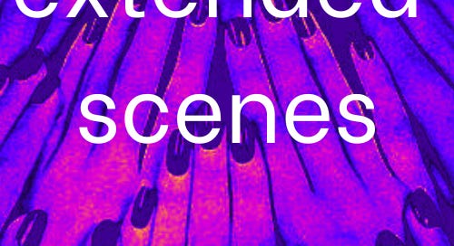 extended scenes | Jenn Romolini | Substack