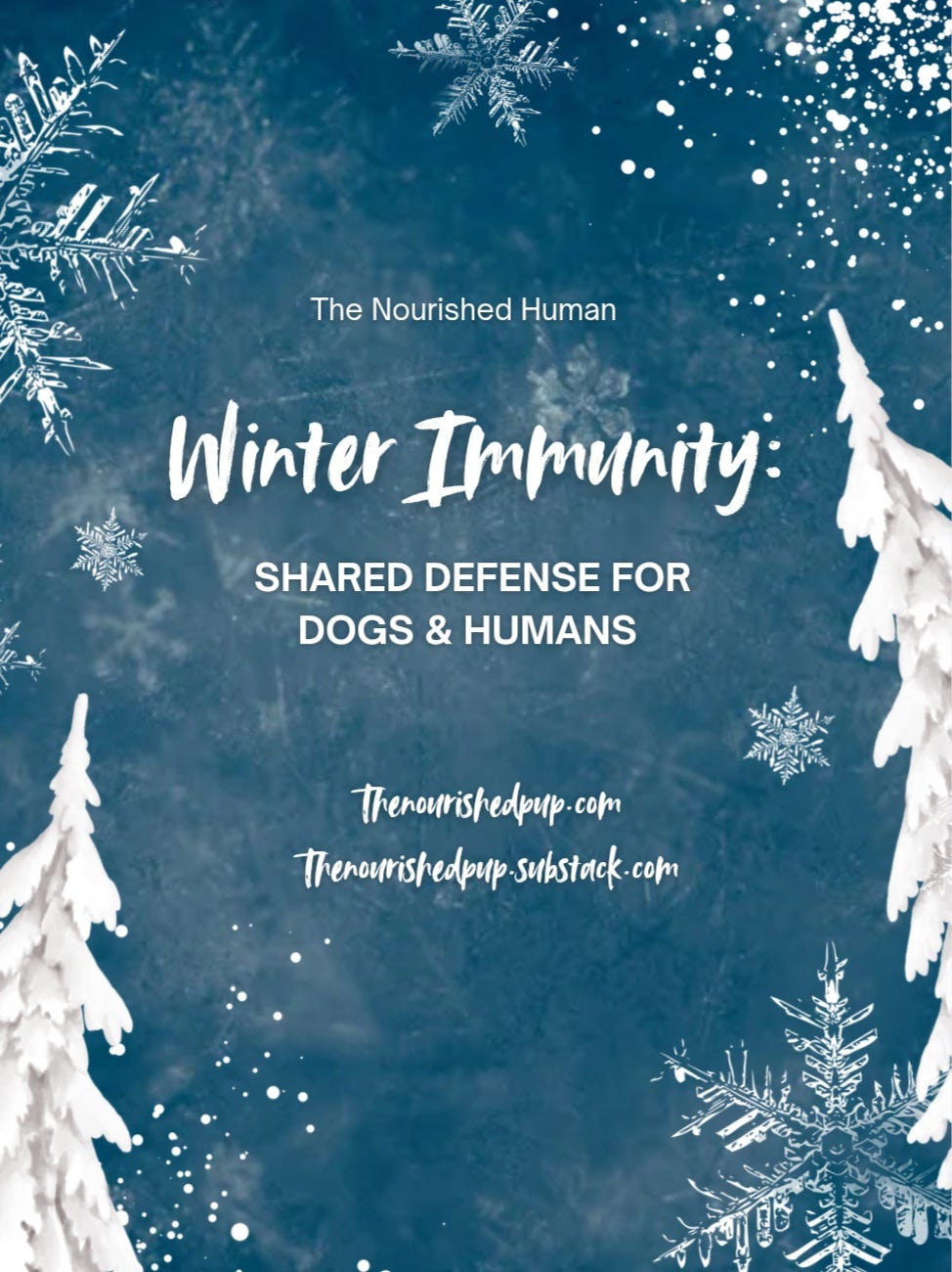Winter Immunity: Shared Defense for Dogs & Humans