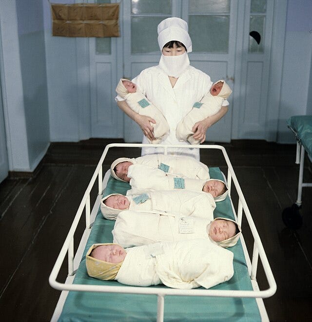 Pronatalism for (and by) dummies - by Alan Mallach