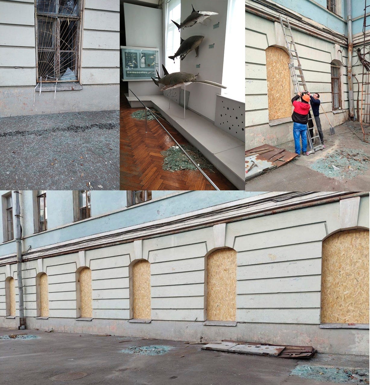 Inside Ukraine’s Antarctic Expedition (penguins inside)