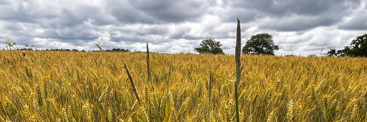 Keith Christiansen | Substack