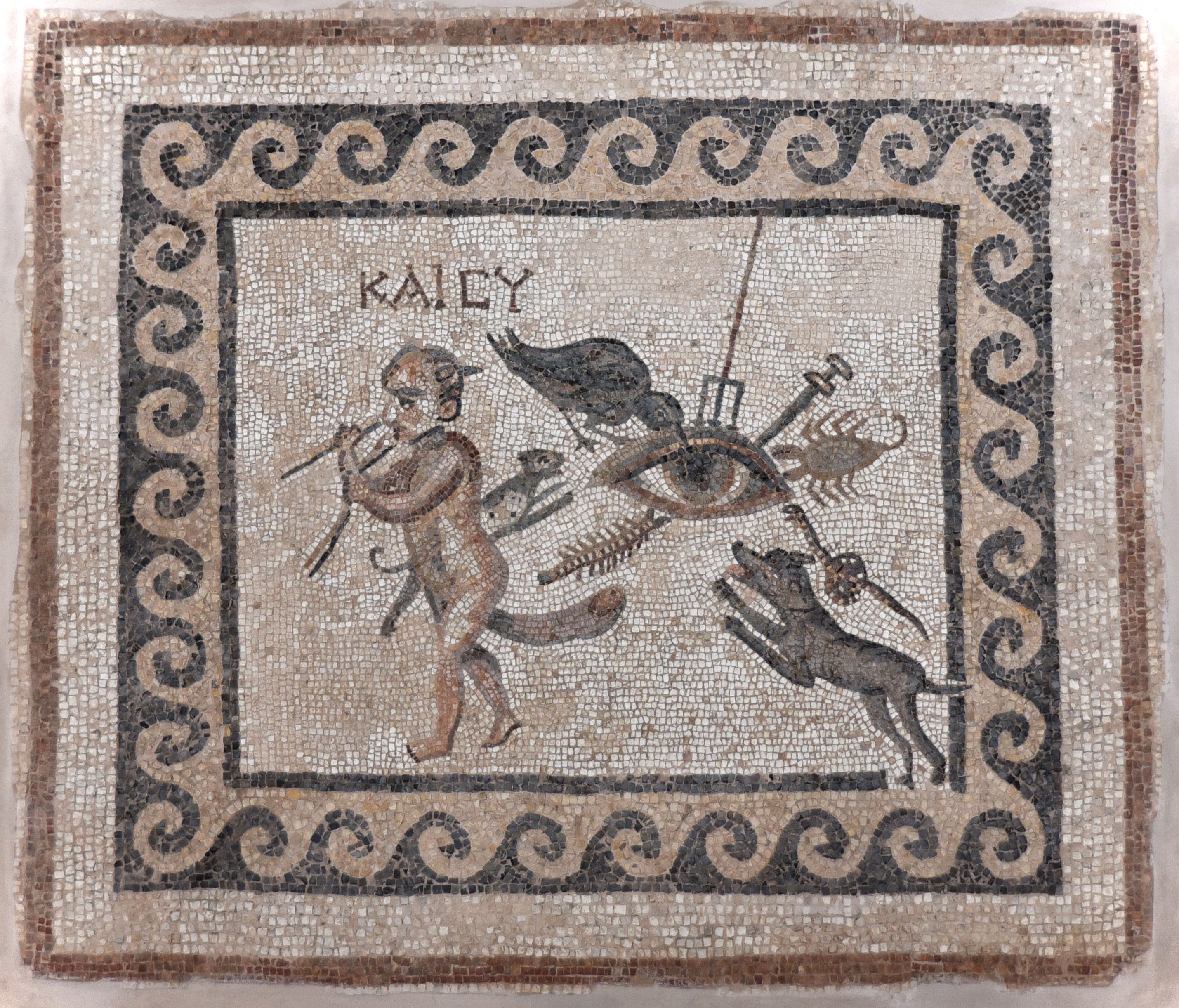 Through Roman Eyes: Translating Celsus on Ancient Ophthalmology
