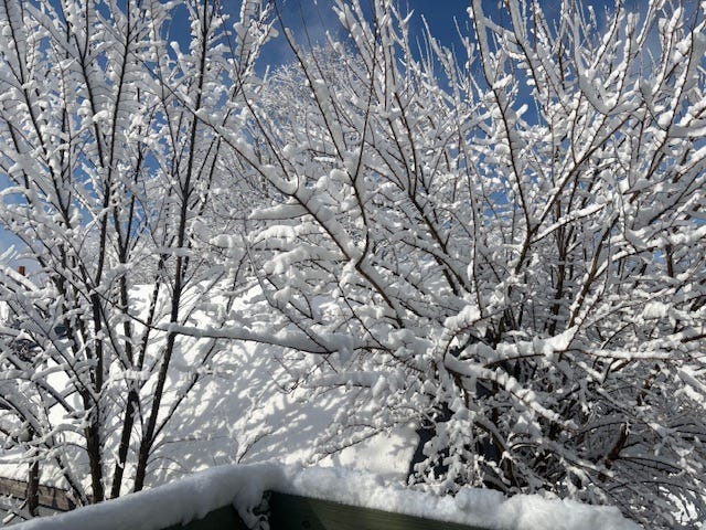 ALS: Talisman Memories - by pam wescott