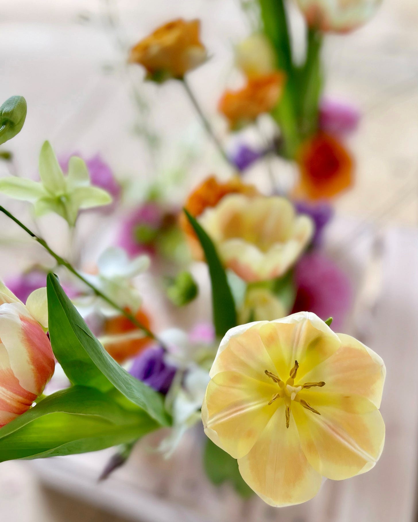 Easy Professional Tips on How to Arrange Bud Vases