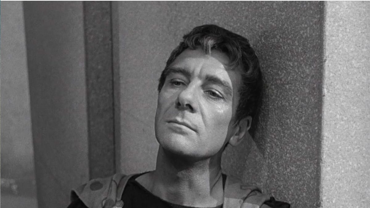 martin hensler photos