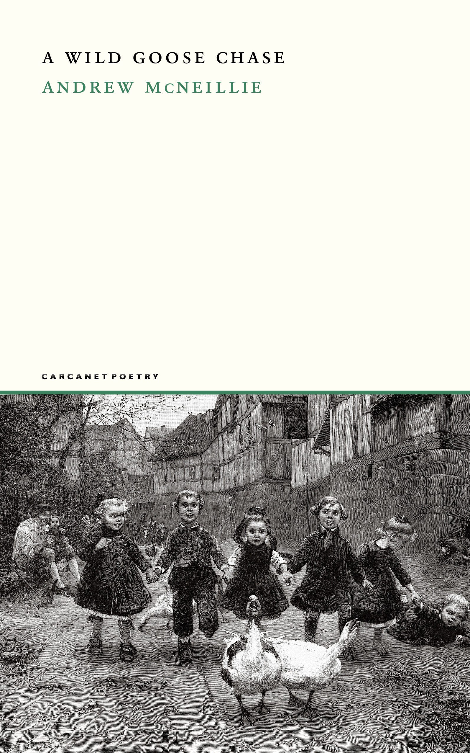 A Wild Goose Chase: Andrew McNeillie - Carcanet Press