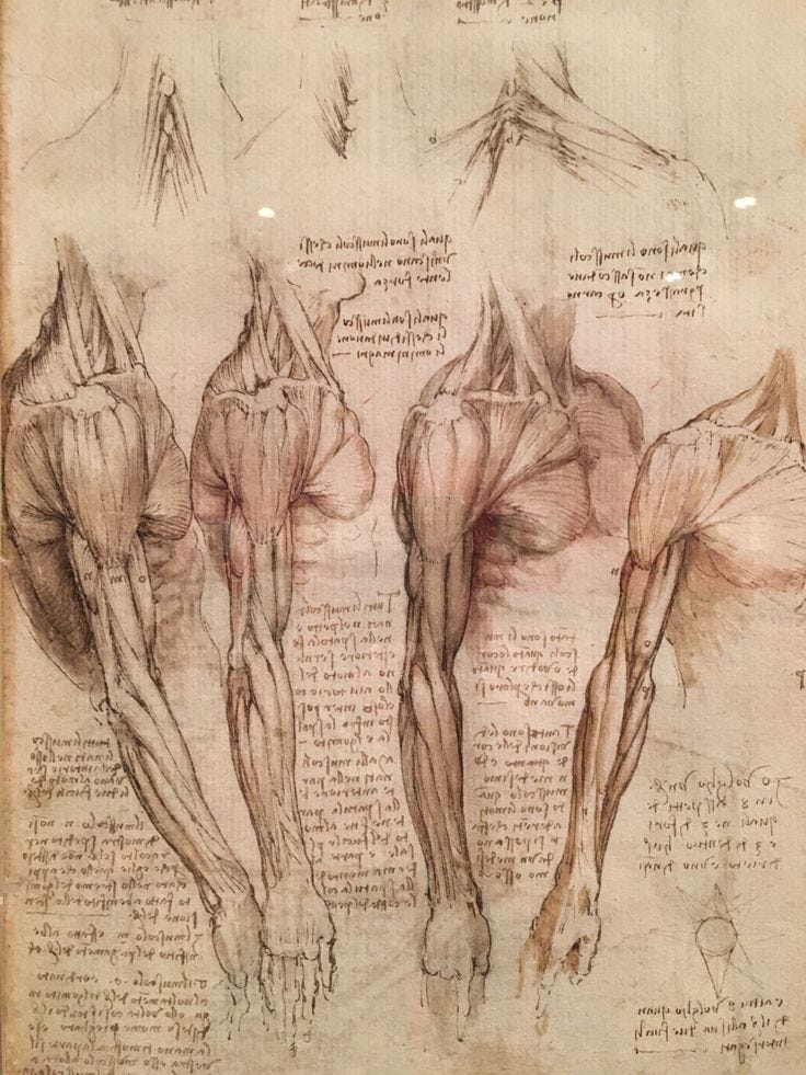 Leonardo da Vinci’s Anatomy Studies: The Blueprint of Modern Medicine