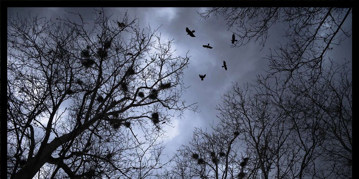 Cancel Me! - by Jerome Pearson - Jerome’s Substack