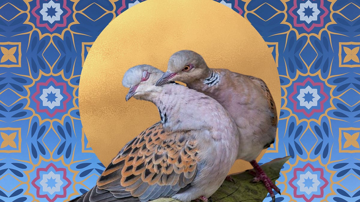 what does two turtle doves symbolize