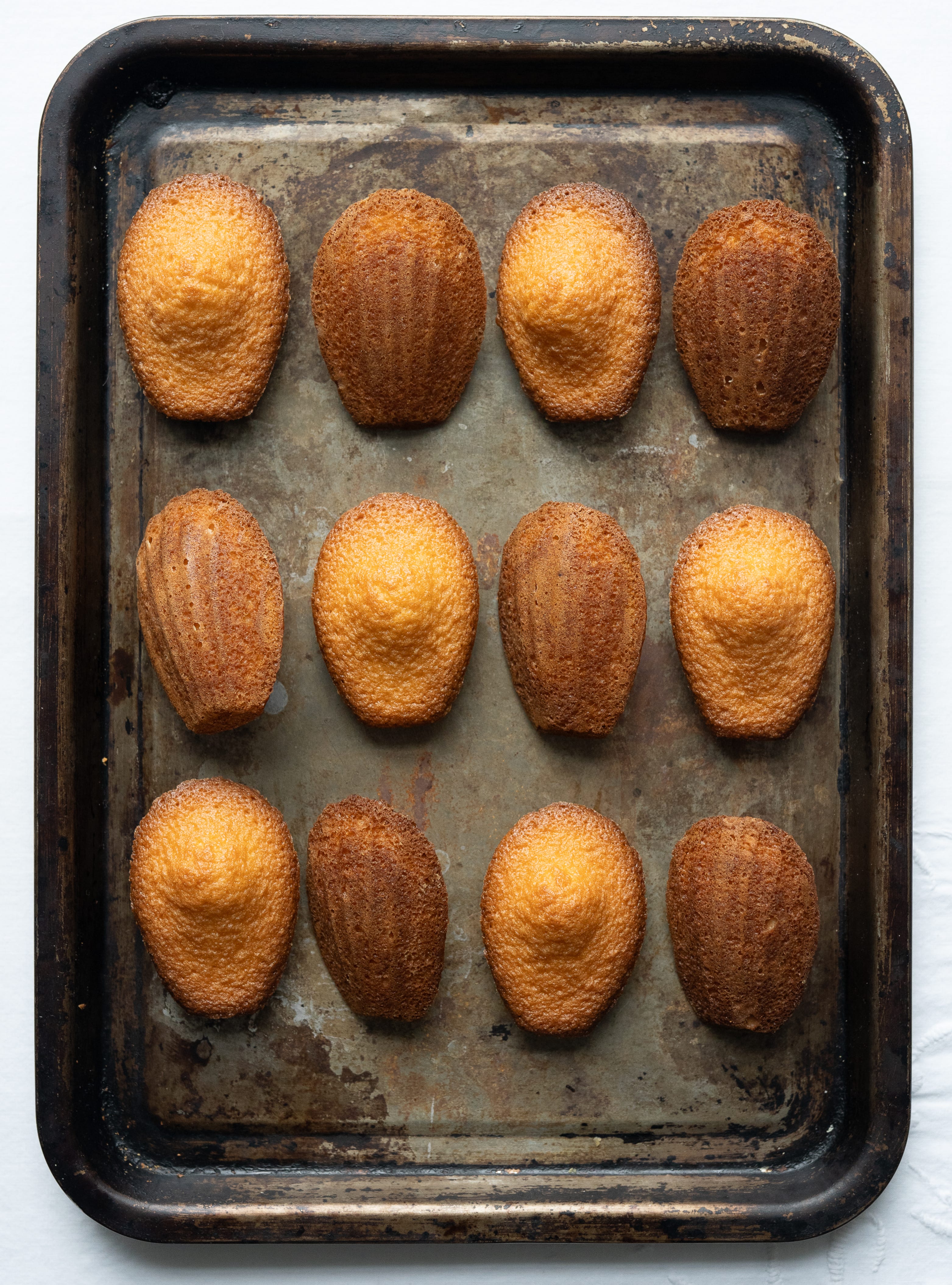 The many lives of a madeleine - by Sarah Stanback-Young