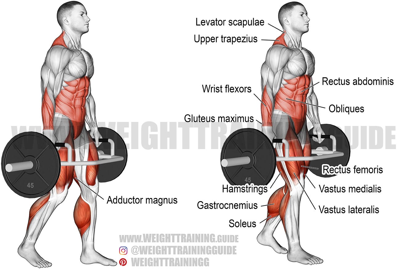 🤲 Grip Strength: Why It Matters (and How to Train It)