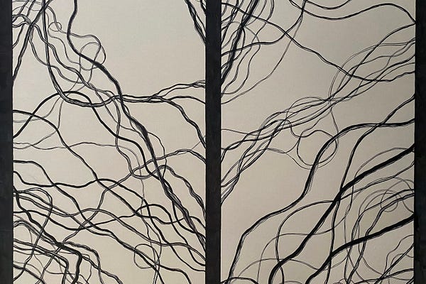 Starhan Garden | Substack