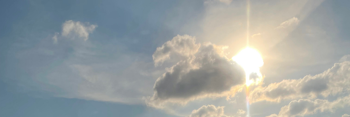 Dorie Snow/雪多丽 | Substack