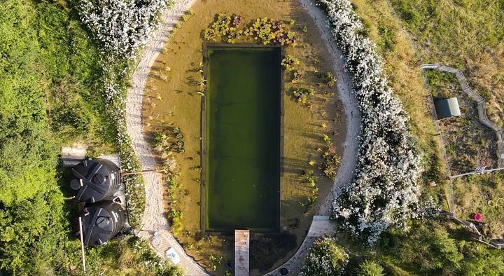 Pool Gallery - Organic Pools by David Pagan Butler