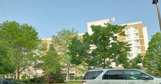 Jessica’s Substack | Jessica Machado | Substack