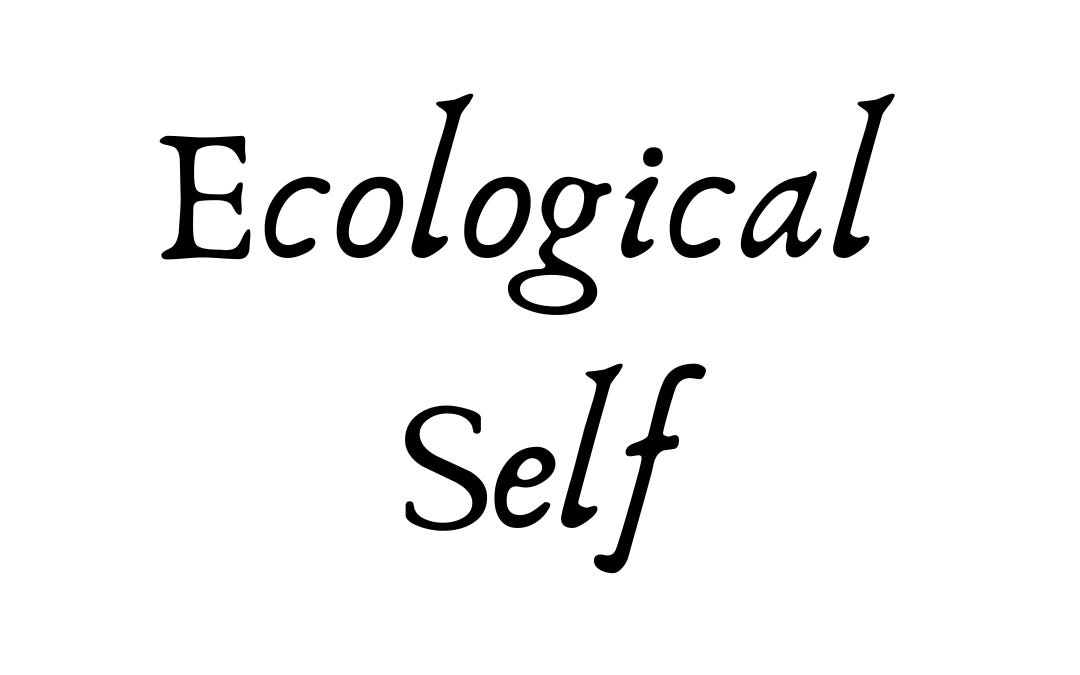 The ‘Ecological Self’ - by A.Z. Device