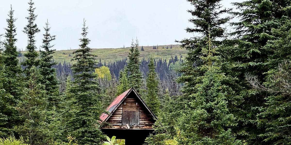 Should I Go Down This Road? - by Jenny