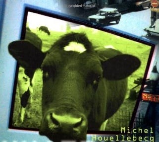 whatever houellebecq