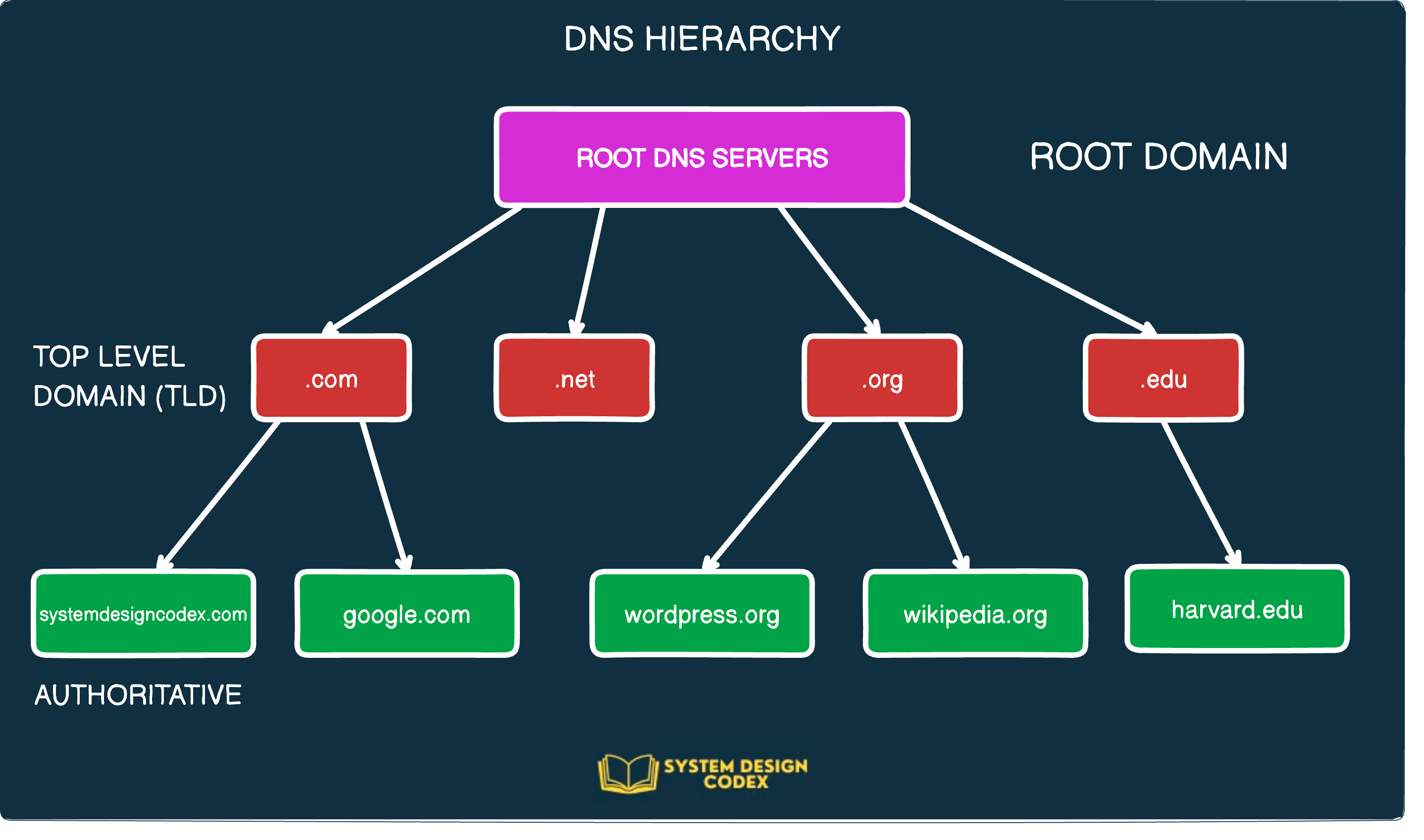 What Is DNS And How Does It Work? Step By Step Guide