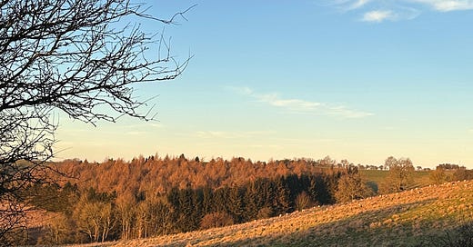 Slower Space | Jodie Melissa Rogers | Substack