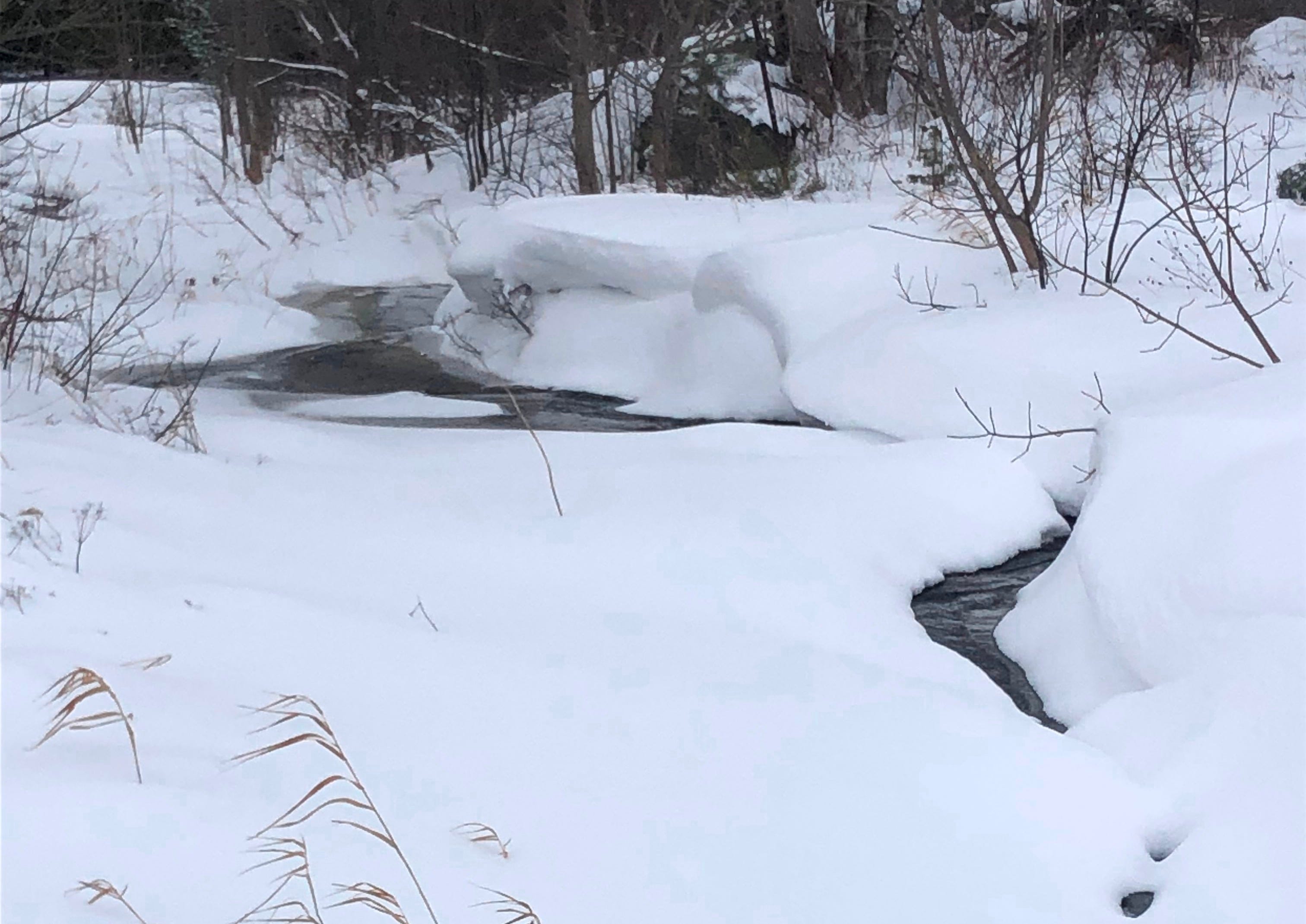 Snow: Mid-winter Reflections - The Owen Sound Current