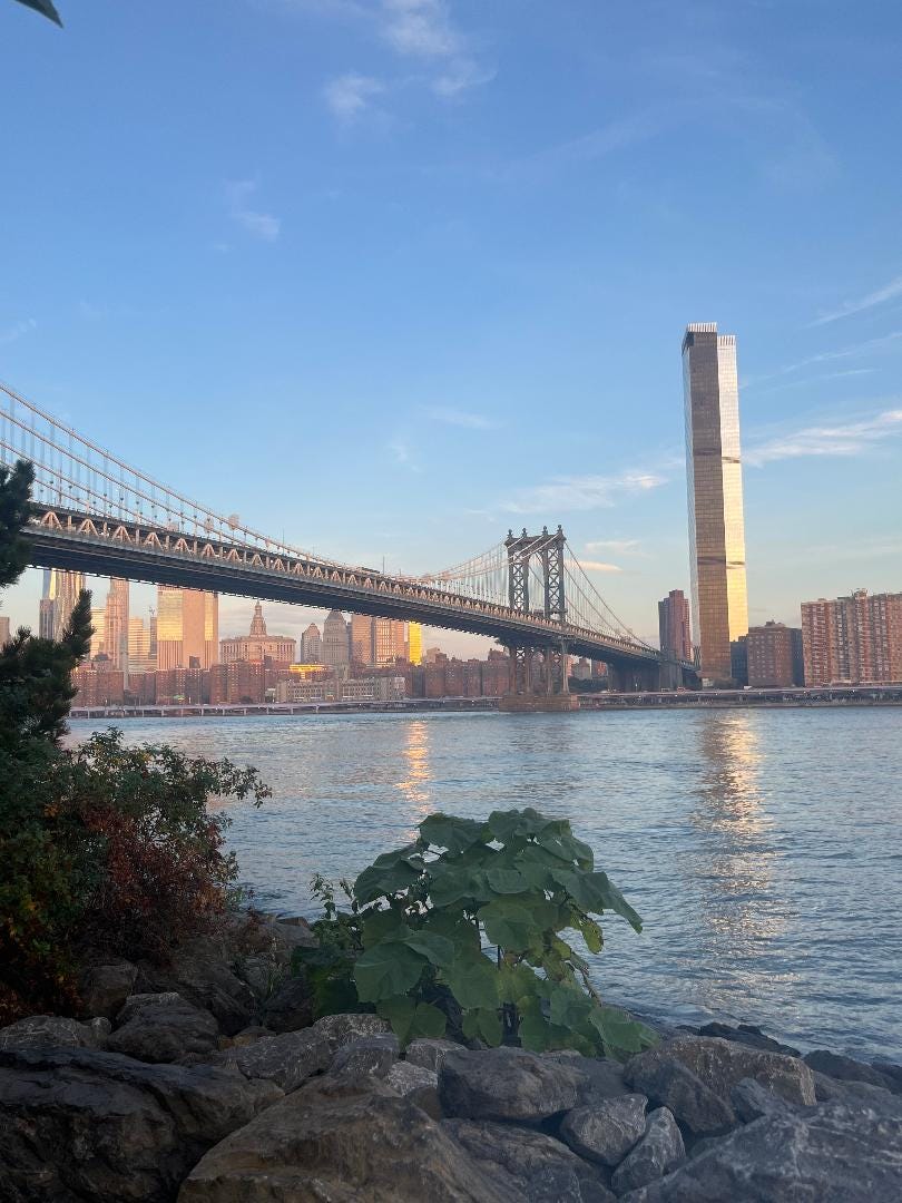 NYC Migration Report: Elemental Reading - Coco Steemer