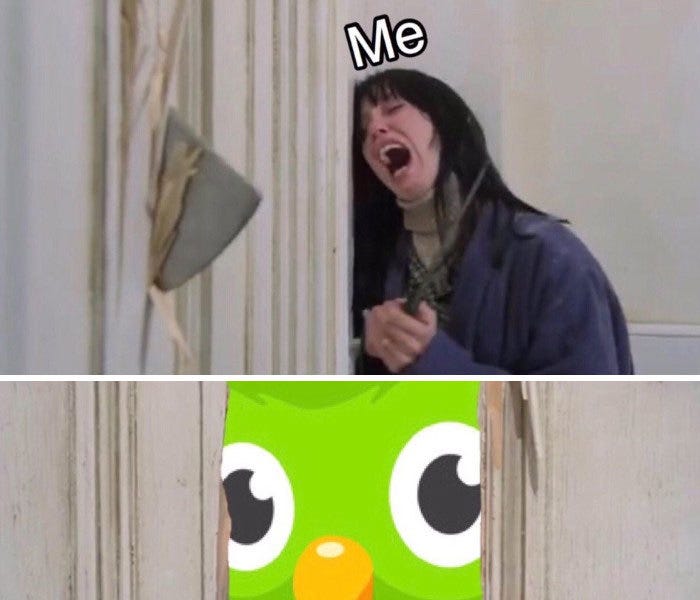 🎮 How Duolingo Uses Gamification to Drive Customer Engagement