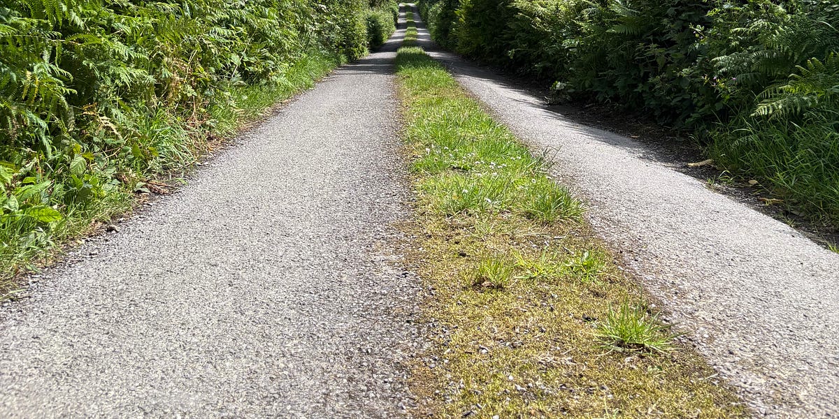 Returning to the bone cave - by Jody Day