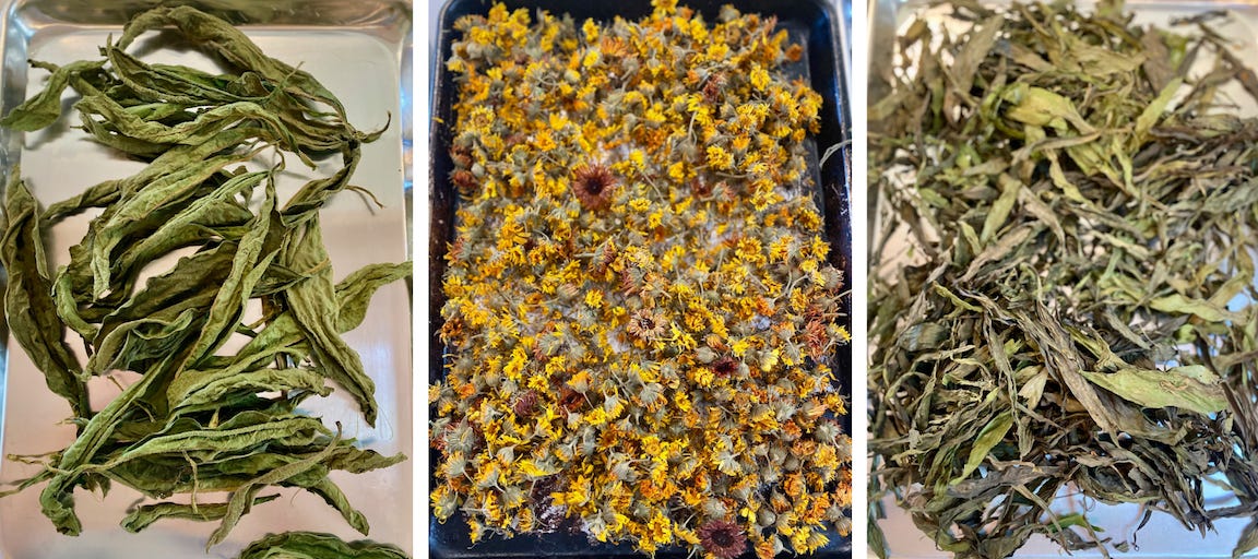 homemade healing herbal salves - by Michelle Aronson