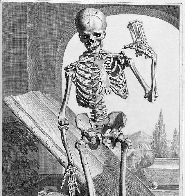 A BONE TO PICK - by Warren D. - I CAST LIGHT!