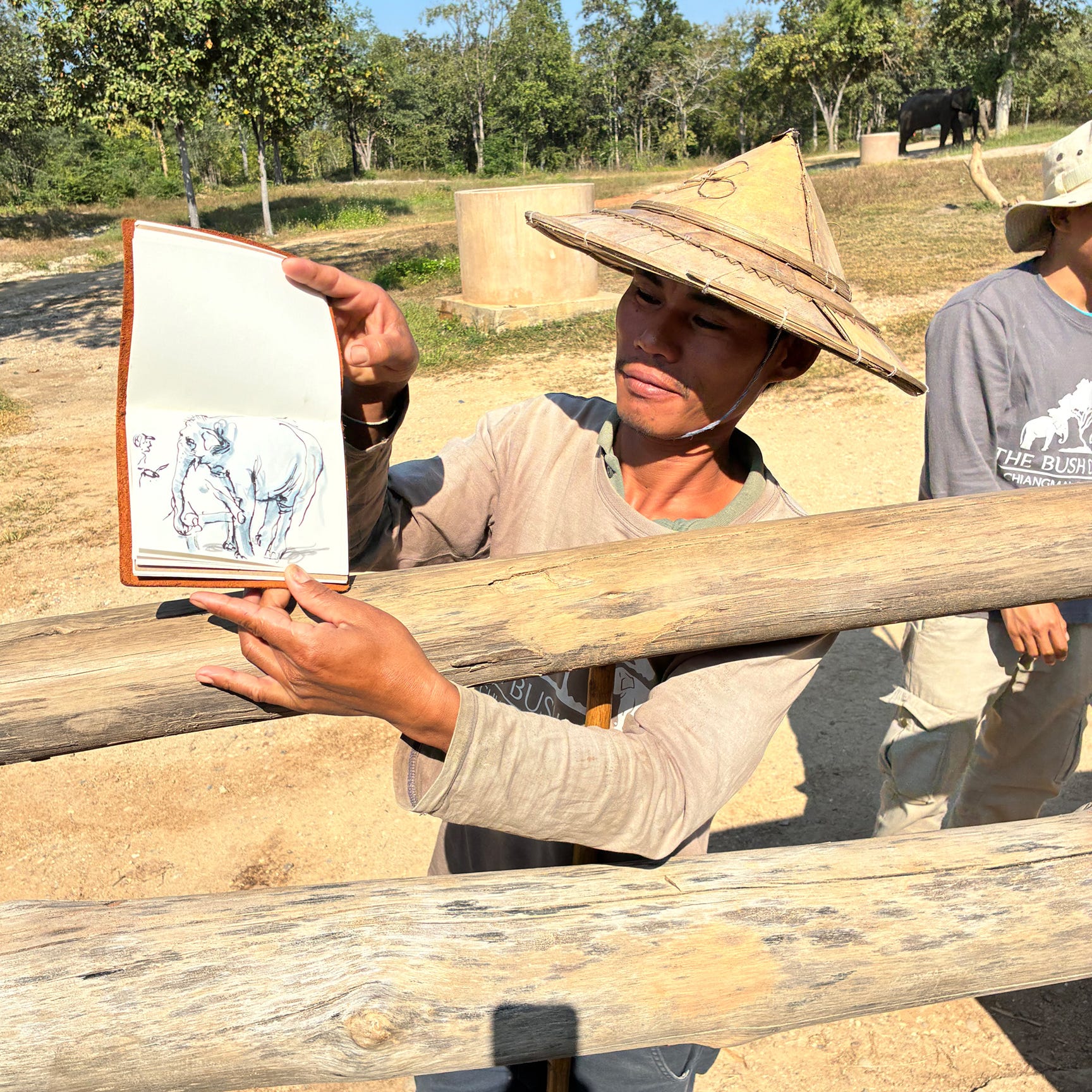 What Drawing Elephants Taught Me: My New Year’s Offering