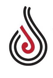 Mana Wāhine Kōrero | Substack