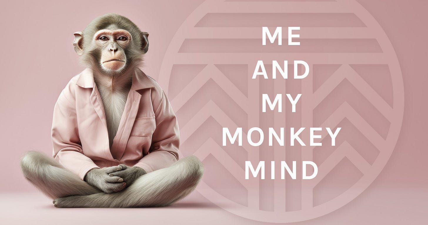 meditation monkey