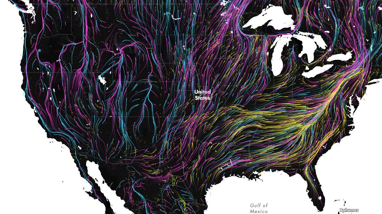 How Does Climate Change Affect Animals? A Complete Guide