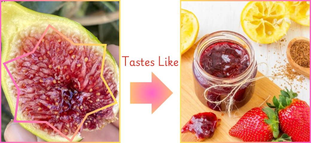 What Do Figs Taste Like? - The Fig Jam