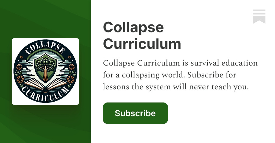 Collapse Curriculum | Justin McAffee | Substack
