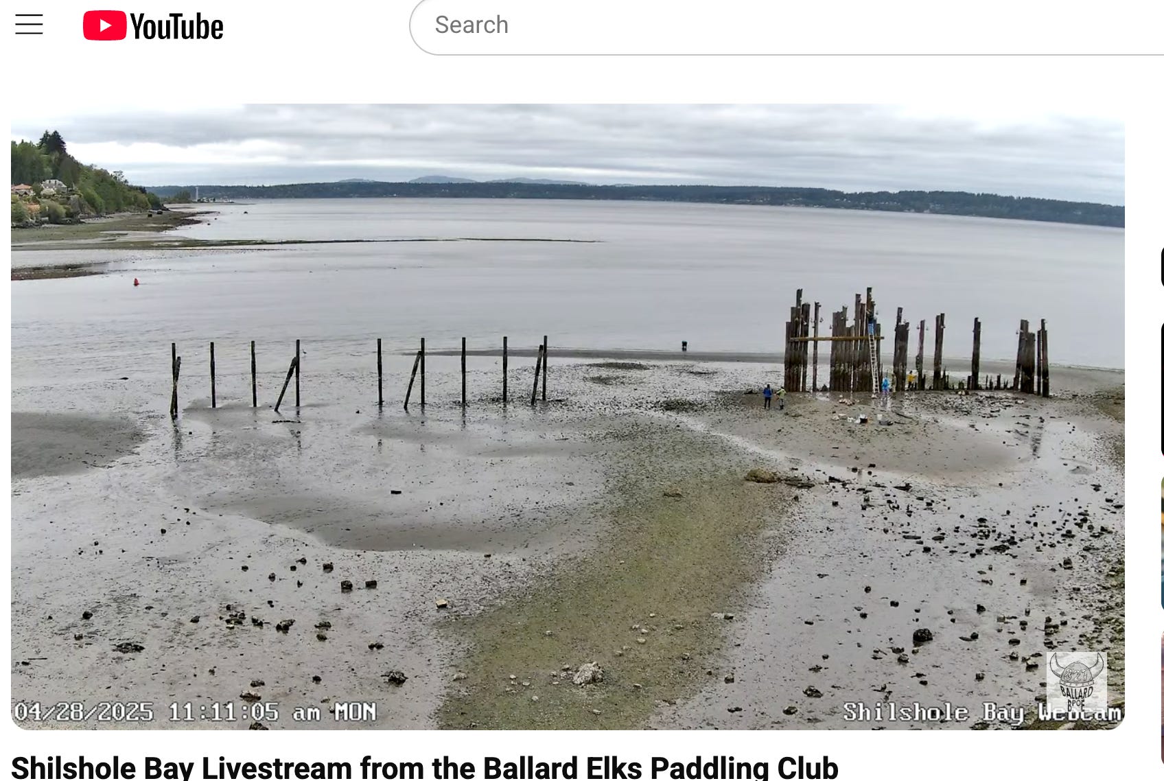 Exploring Seattle's Shilshole Bay at a Minus Low Tide