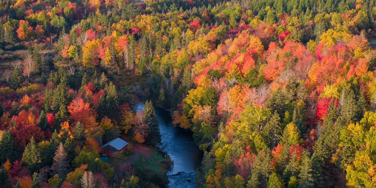 DAY 303 BIBLE READING - by Mrs. Ashe - Luanne’s Substack