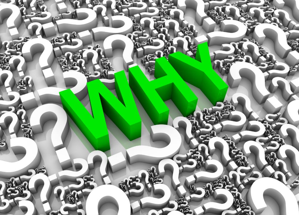 The Power of Why - by Allison Gilmore - Allison's Substack