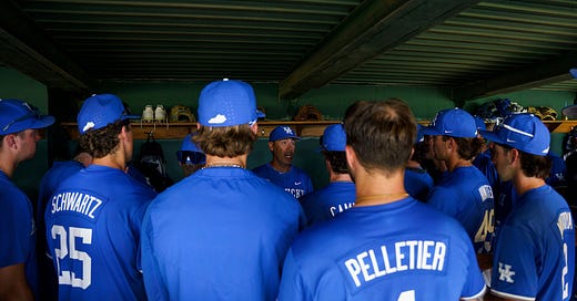 Bat Cats Central | Derek Terry | Substack