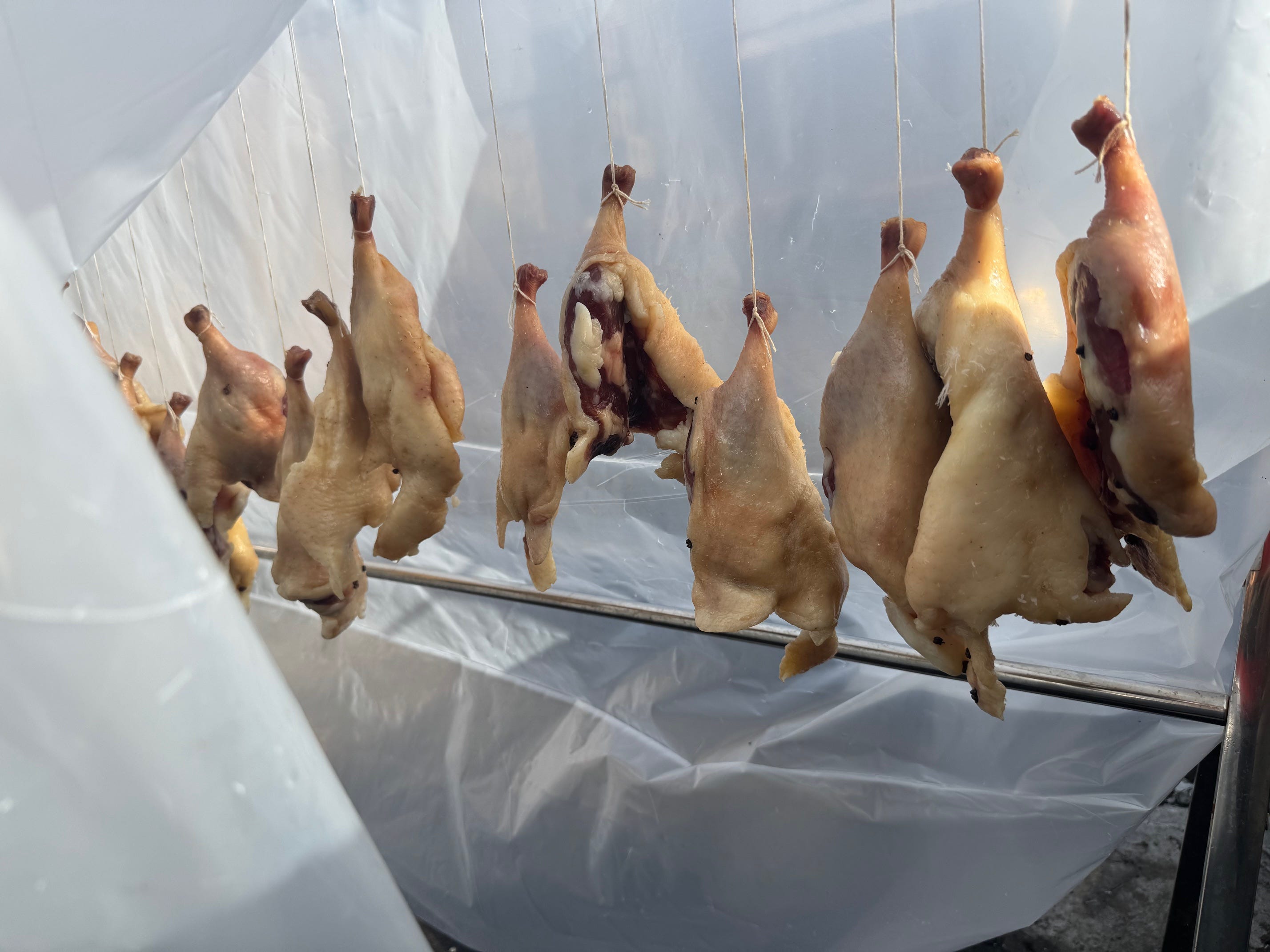 Wind Cured Duck - by Zoe Yang - Field Notes