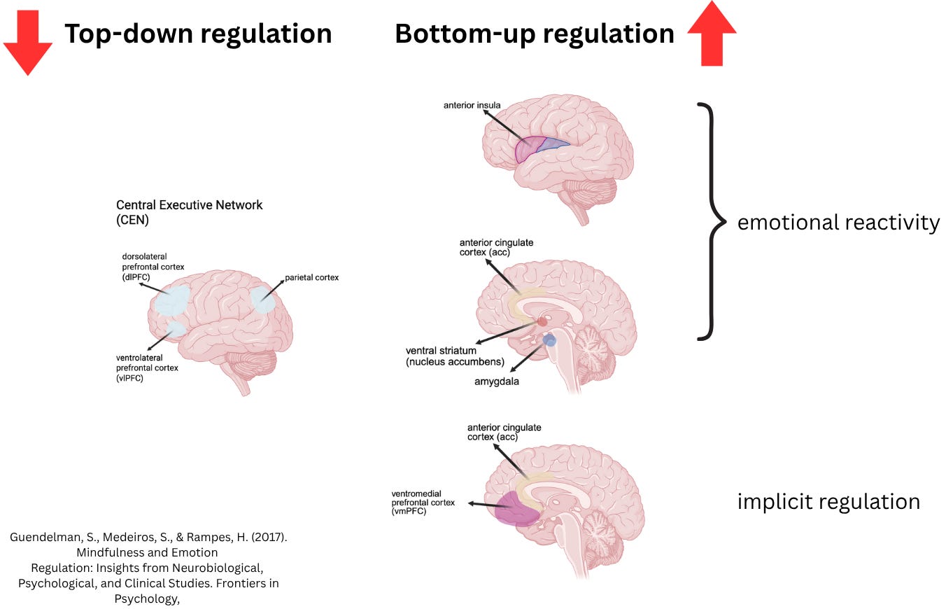 Are You Top, Bottom or Versatile? Brain, Body And Emotional Regulation