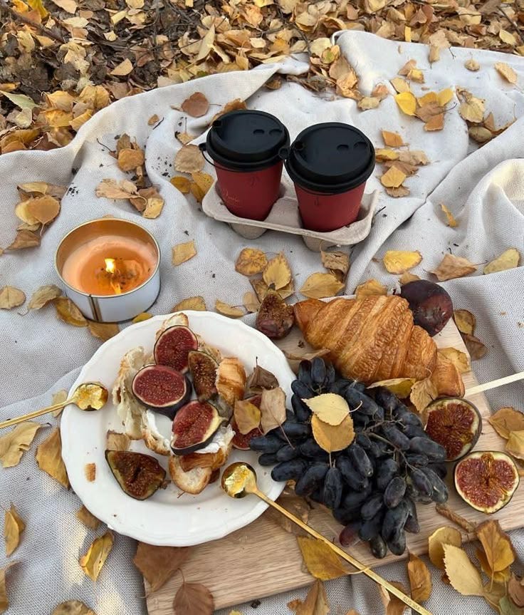 8 Activities to Keep you Busy this Fall that Won't Break the Bank