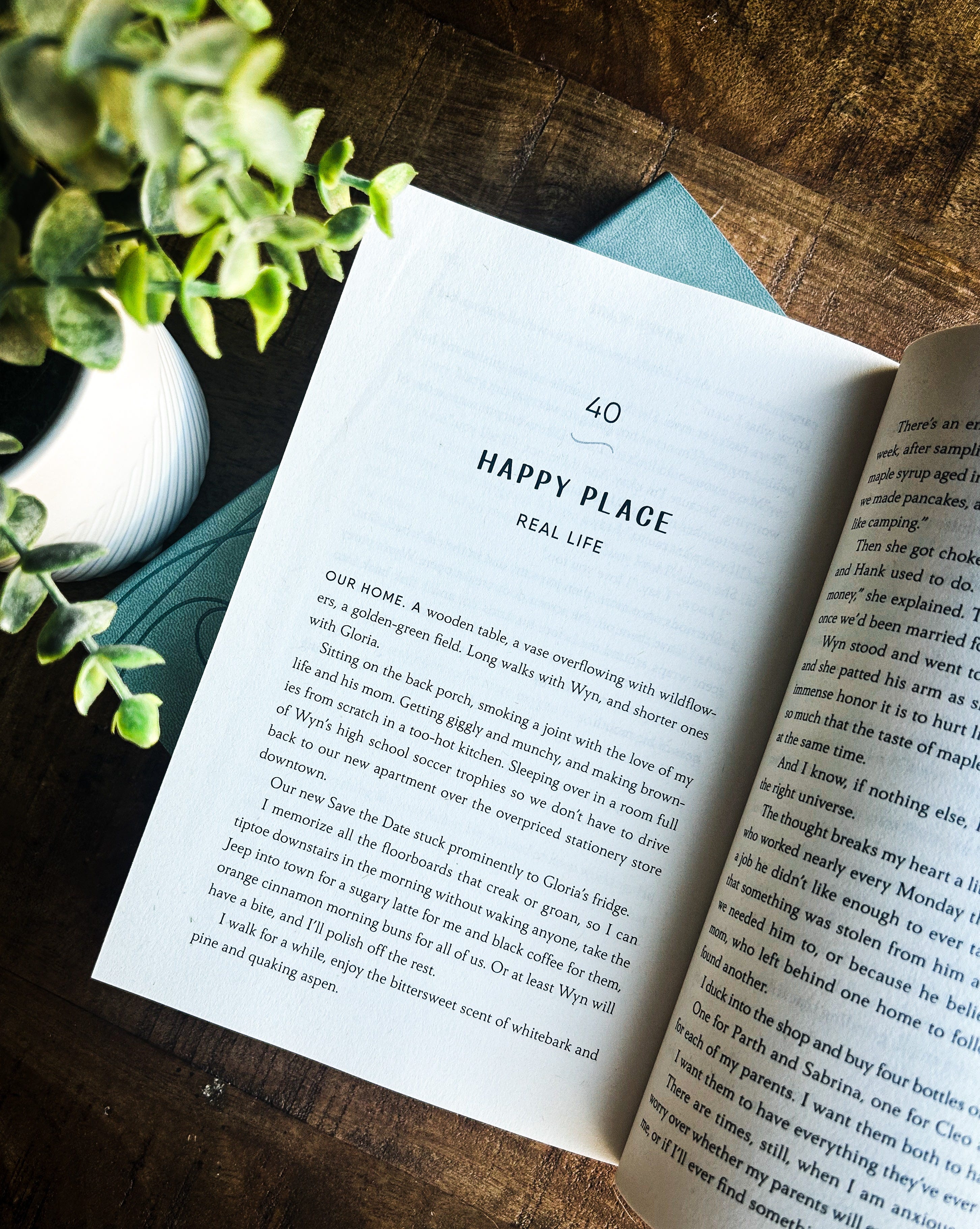 The Year of the Book (s) - by Amanda Kraus