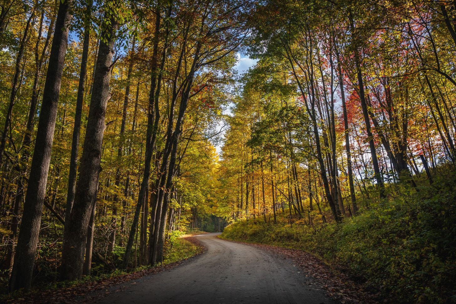 Waterfalls, Autumn Trees, and Poetry - Poetic Outlaws