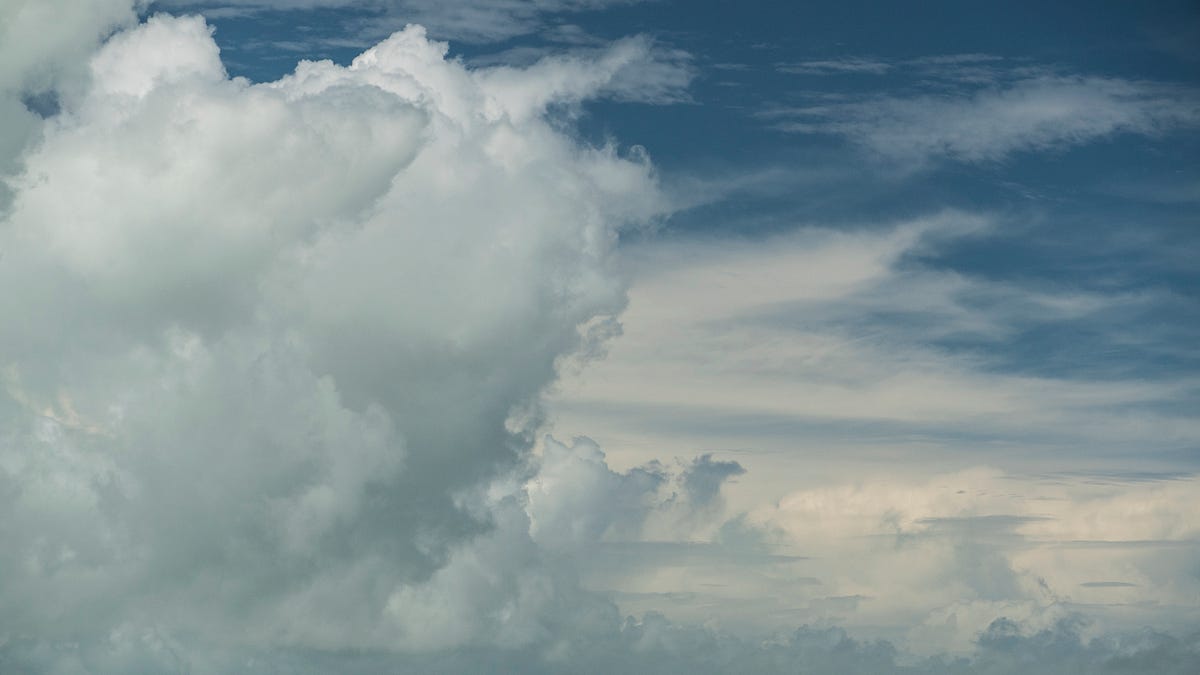 AT News: Fly Rod Sweet Spots, 2025 Year In Review, Roland Martin on the ...