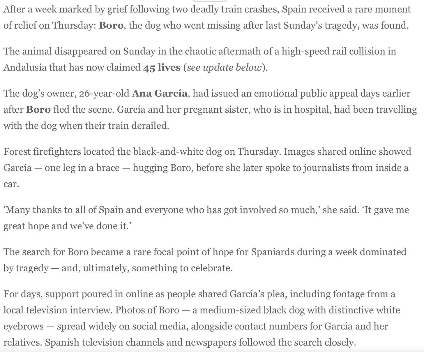 Boro The Missing Dog FOUND Safe And Reunited With Overjoyed Owner ...